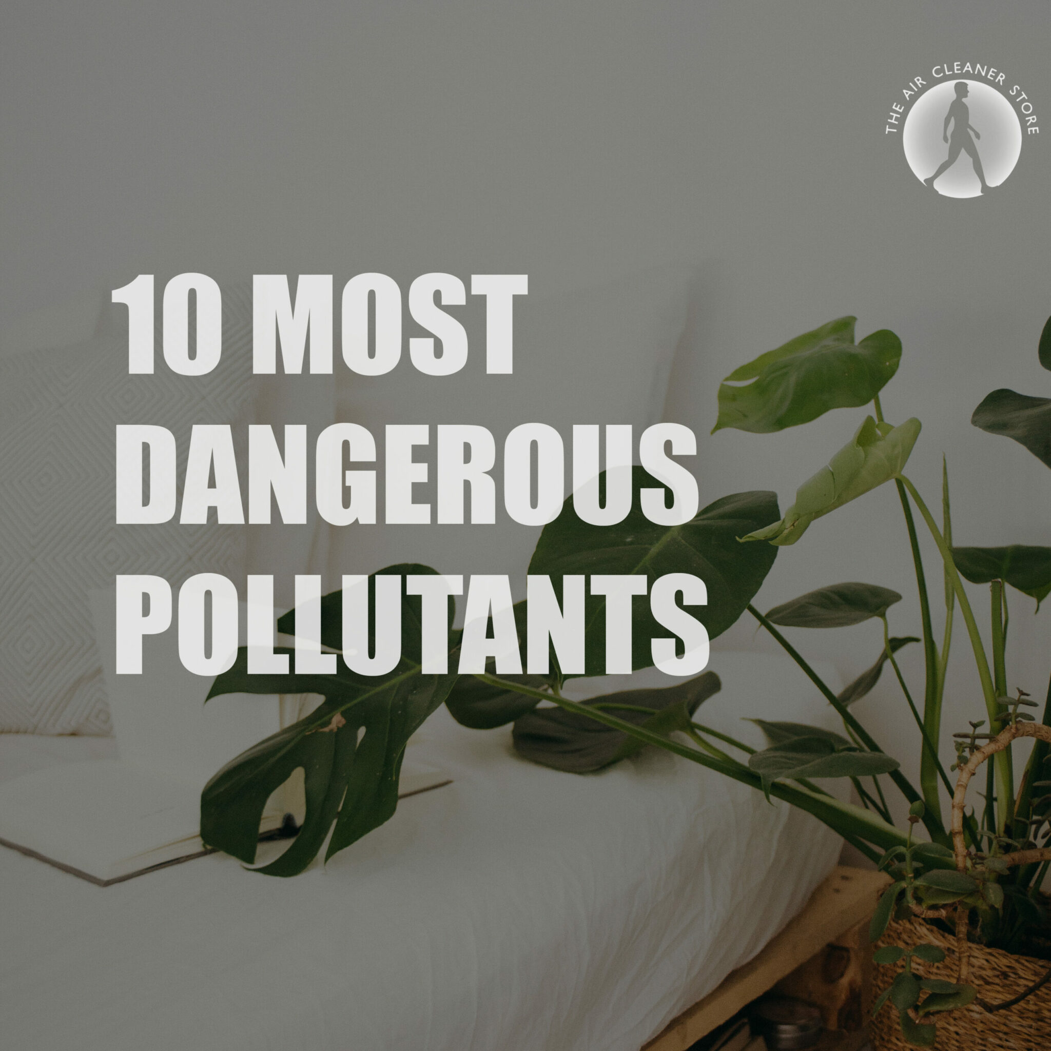 The Most Dangerous Air Pollutants | The Air Cleaner Store